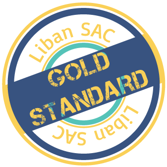 About Us – LibanSAC