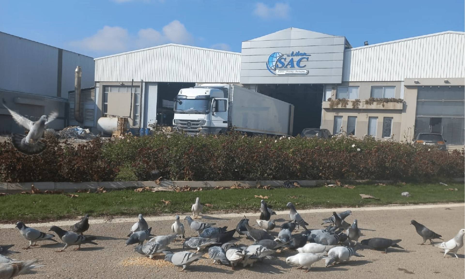 LibanSAC – Better quality for lower cost.